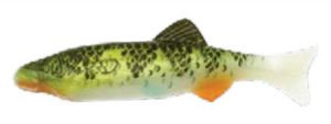 Renosky Keystone Jig Minnow - Safford Trading Company